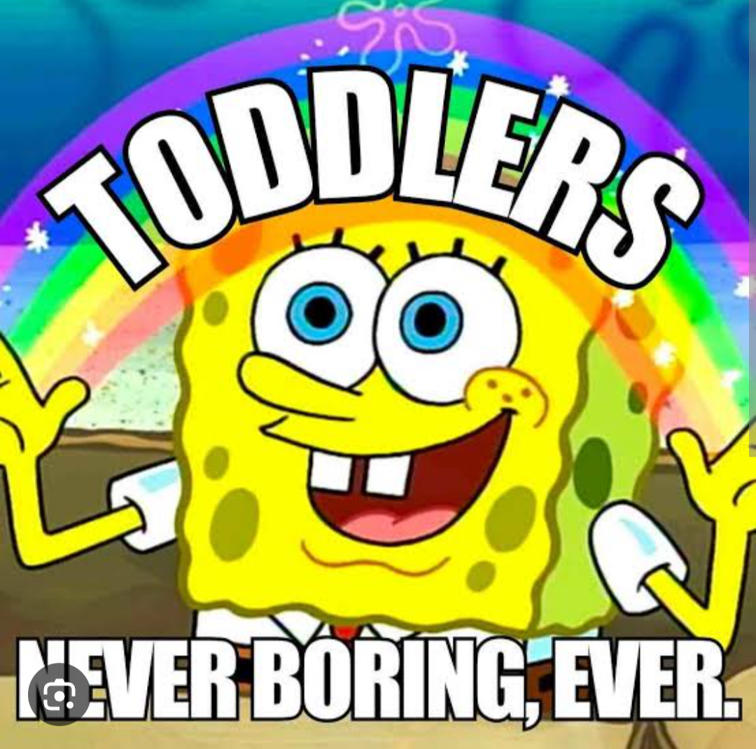 Disappearing Acts and More Paper Massacres – His Secrets, My Pain